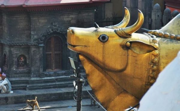 Story of Nandi - The Sacred Bull of Lord Shiva