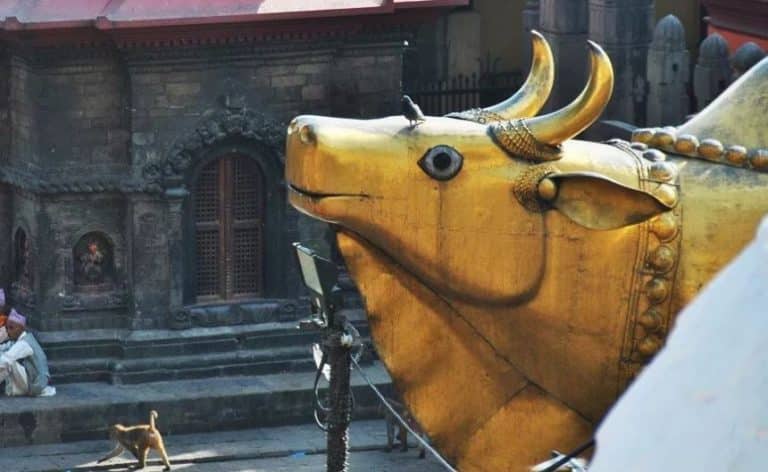 Story of Nandi - The Sacred Bull of Lord Shiva