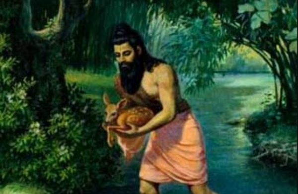 The Story of King Bharata and His Incarnations