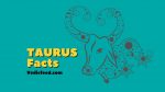 16 Personality Facts about Taurus Zodiac Sign