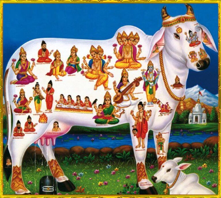 Why Do Hindus Worship The Cows?