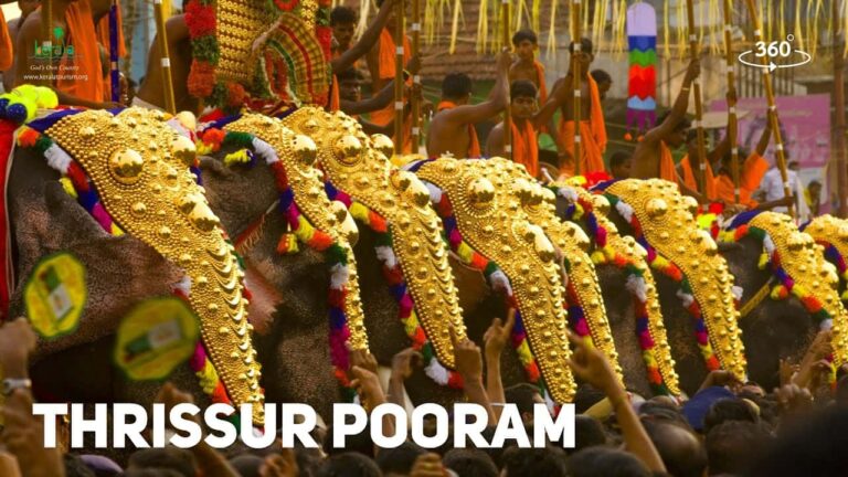 Thrissur Pooram: The Spectacular Elephant Festival of Kerala